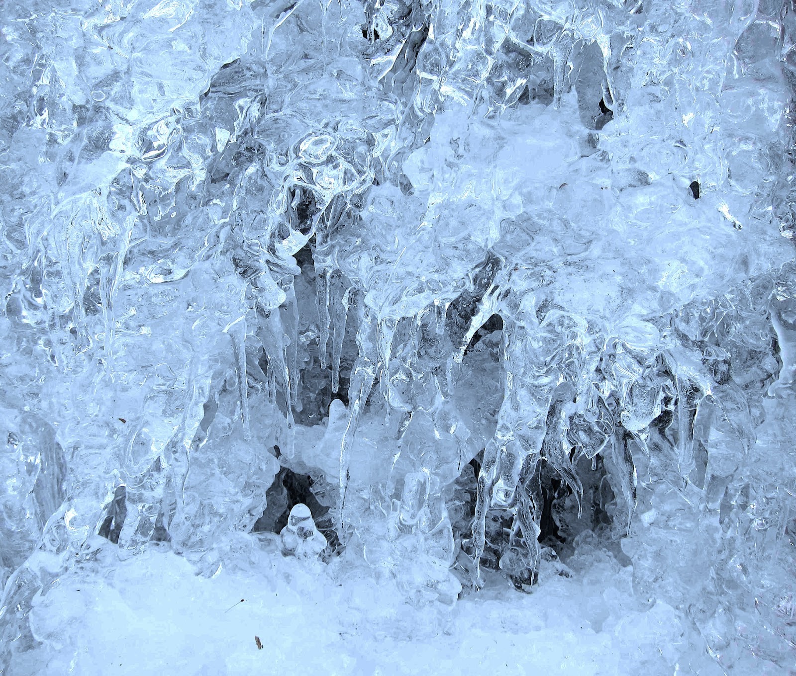 Saratoga woods and waterways: Up to the Ice Castles