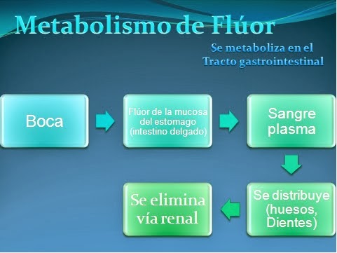 FLUOROSIS DENTAL