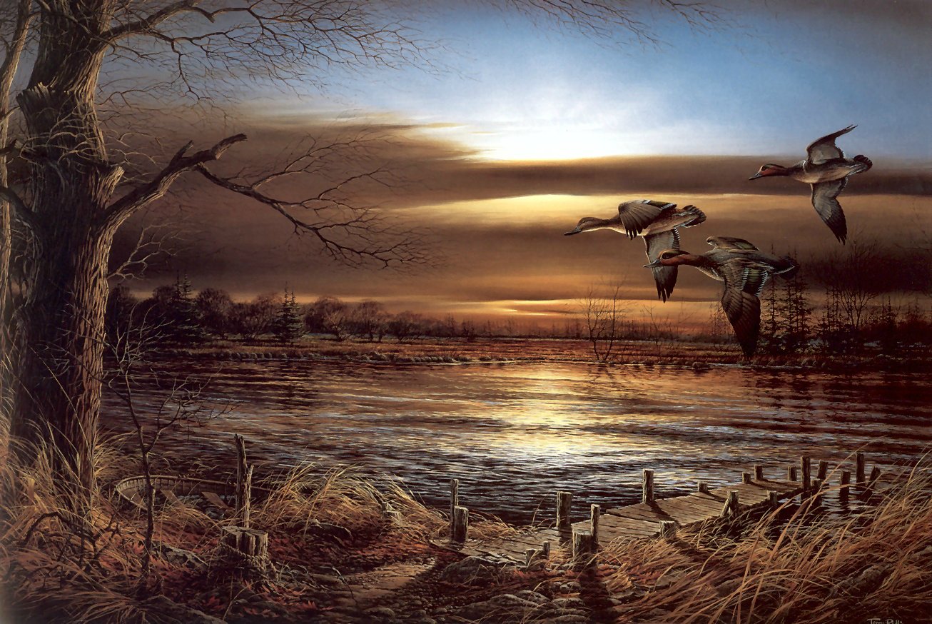 D.W.C. Birds - Artist Terry Redlin - DANCES WITH COLORS