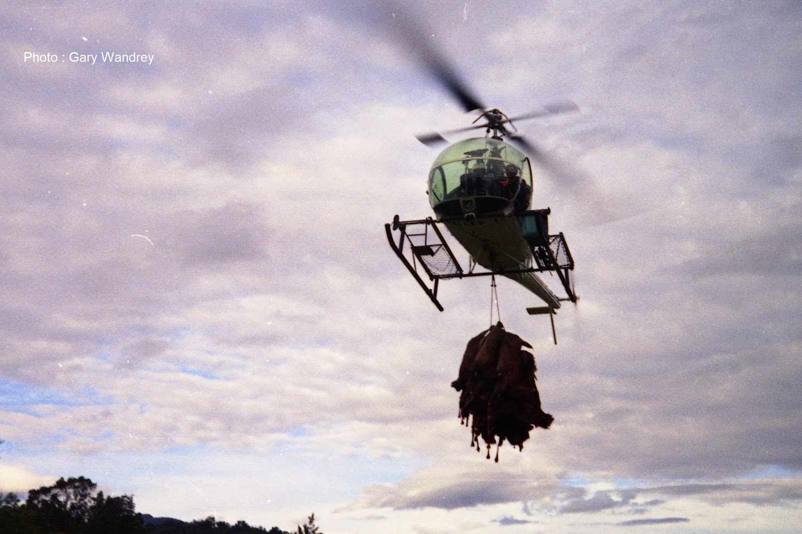 3rd Level New Zealand: Helicopter Deer Hunting 1973