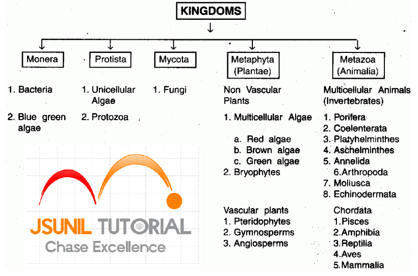 CBSE Pathshala: Diversity in Living Organisms class 9 solved Questions ...