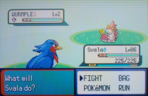 Taillow Evolution Emerald