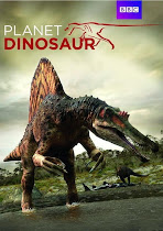 Evolutionary Vertebrate Zoology: December 2011