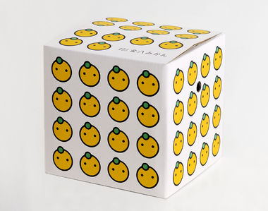 Alan Chem Industrial & Consumer Packaging Design Blog: 柳丁包裝- Kinpachi ...