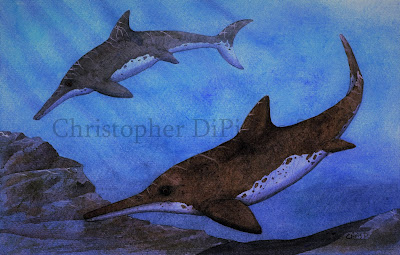 Prehistoric Beast of the Week: Ichthyosaurus: Prehistoric Animal of the ...