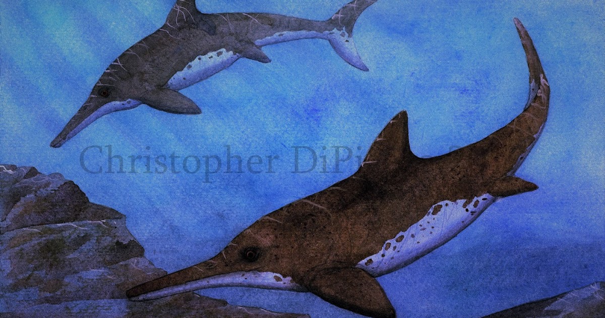 Prehistoric Beast of the Week: Ichthyosaurus: Prehistoric Animal of the ...