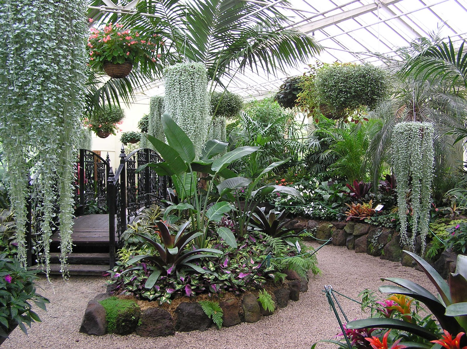 Neesie Natters: A walk through Fitzroy Gardens in the centre of ...