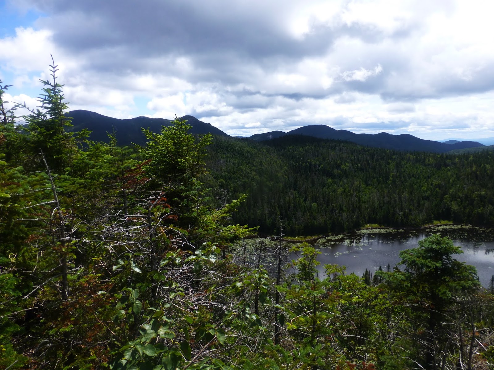 Off on Adventure: Lost Pond Peak (3900') - High Peaks Wilderness - 8/6/15