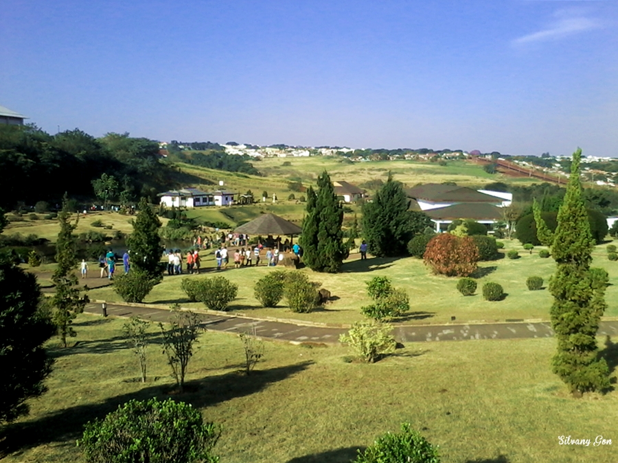Amo a natureza!!!: Parque do Japão em Maringá-Pr