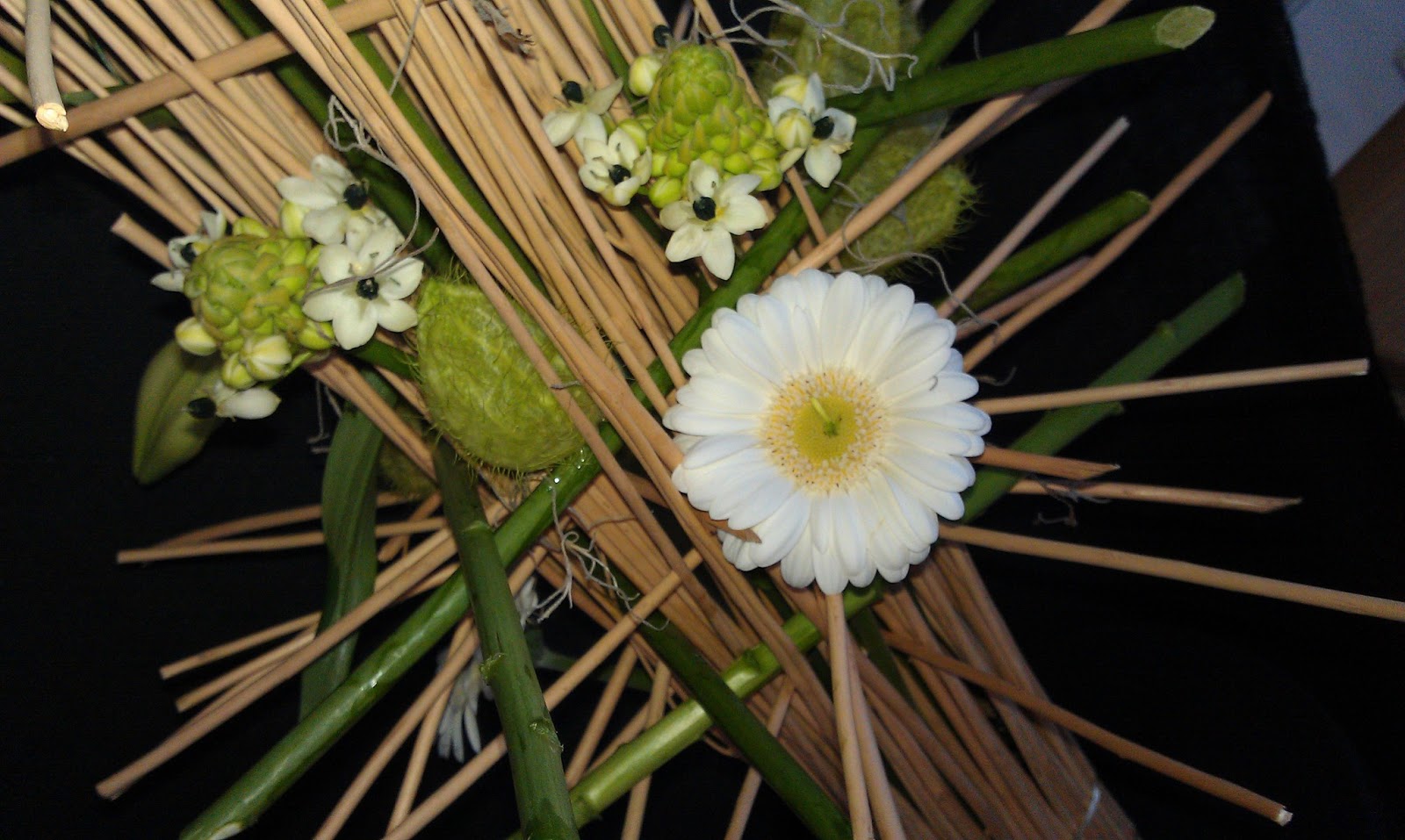Katie Gilman Floristry Design: Kerplunk Design