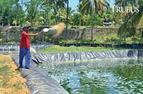 AQUACULTURE PAYAU