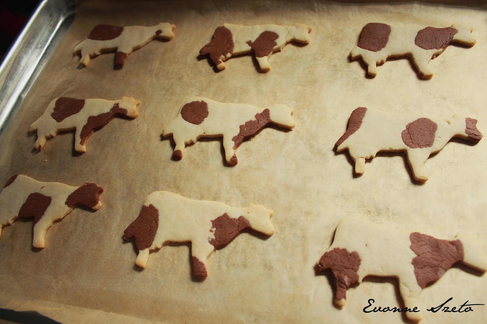 sweet from the heart: Cow-Patterned Cow Cookies