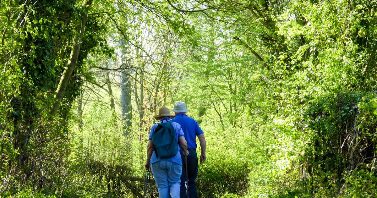Cotswold Way: Wood Stanway - Cleeve Hill