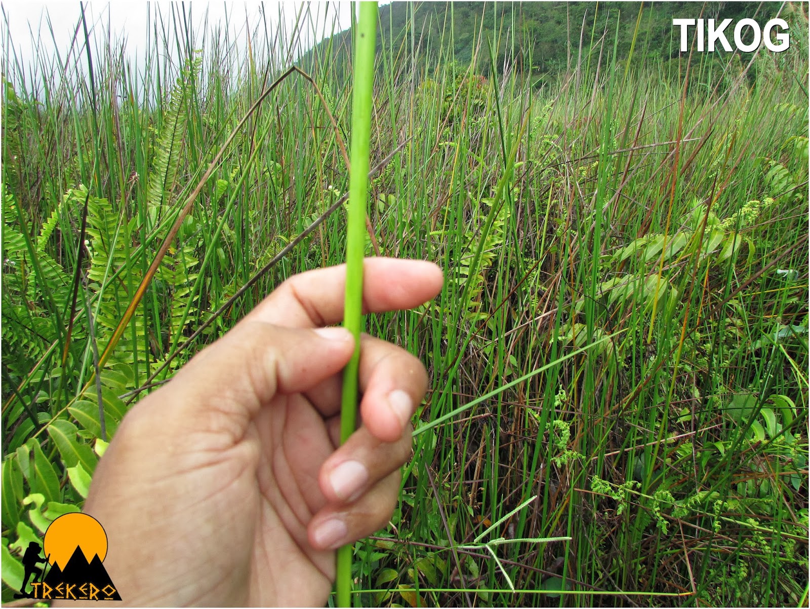 TREKERO: LAKE NAPALIT and LAKE MATA