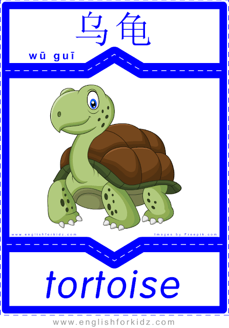 English-Chinese Flashcards: Pets