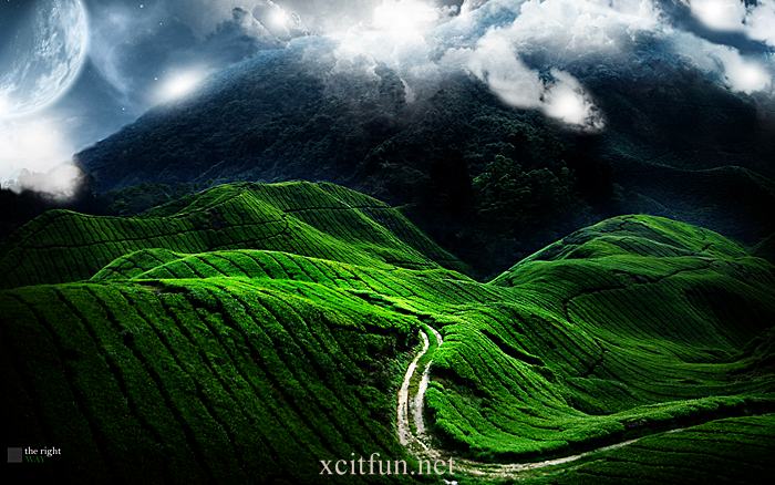 walpapers - wallpapers