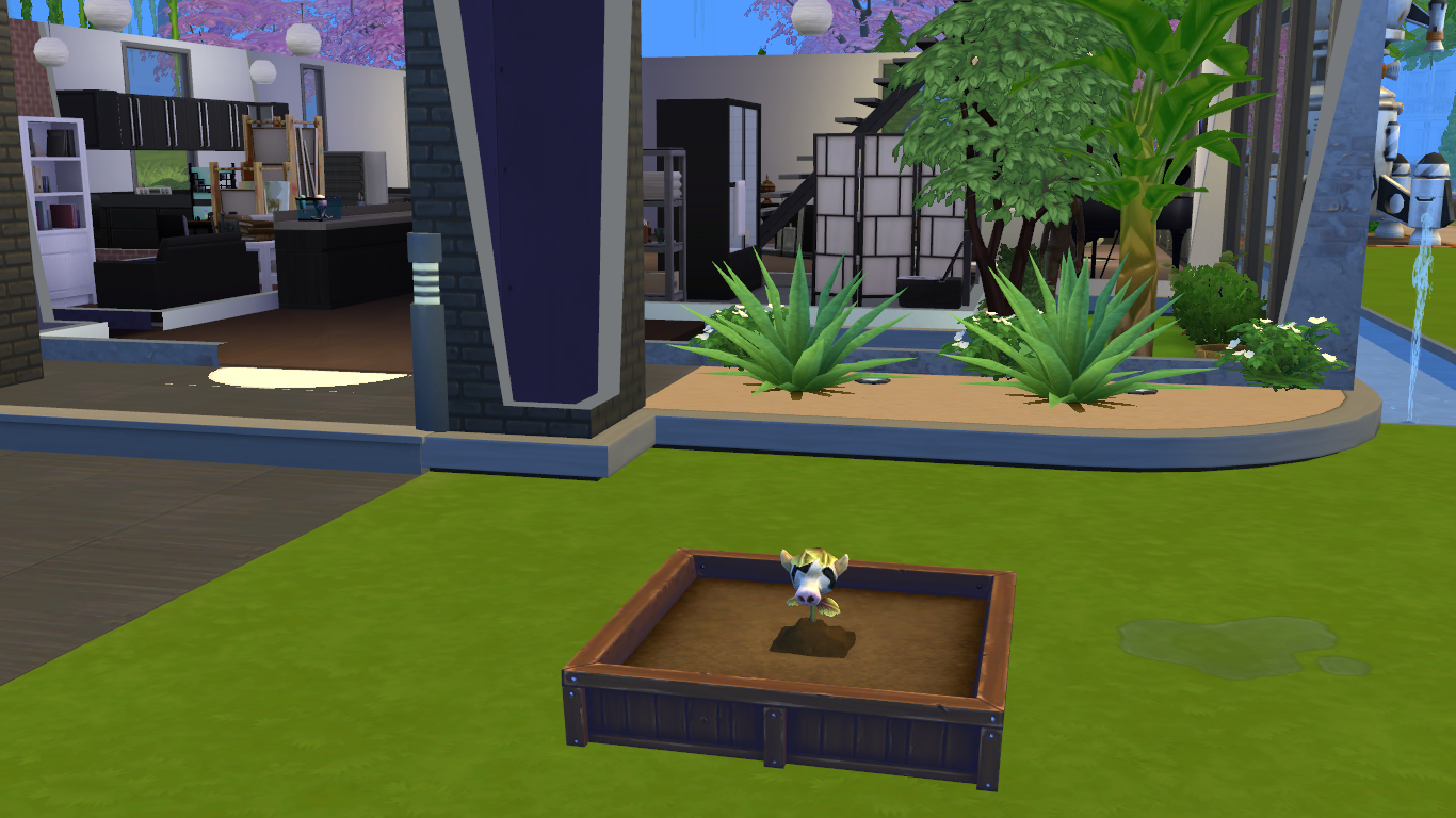 Simowska Blog: Krowokwiat