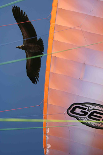 shivers up the spine: Do Yogis Still Fly? Fables and Flightpaths of the ...