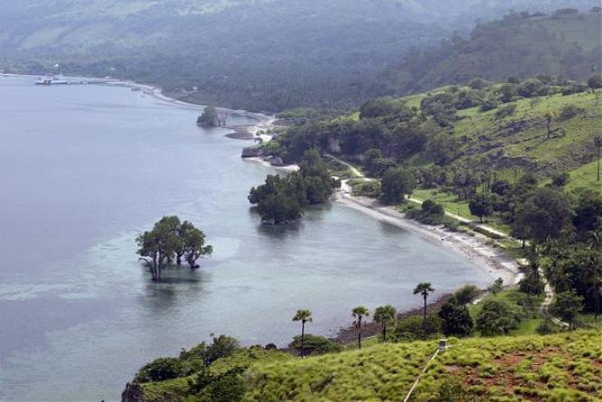 - TIMOR AGORA: Atividade Ekonómika Ataúru La’o Maka’as