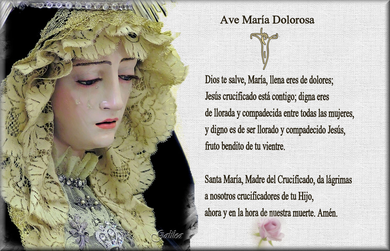 Santa María, Madre de Dios y Madre nuestra: Ave María Dolorosa