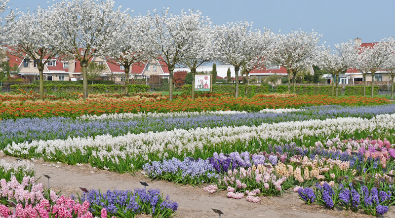 Bali, Cuba, Egypt, France, Italy, the Netherlands and Spain: Je kunt ...