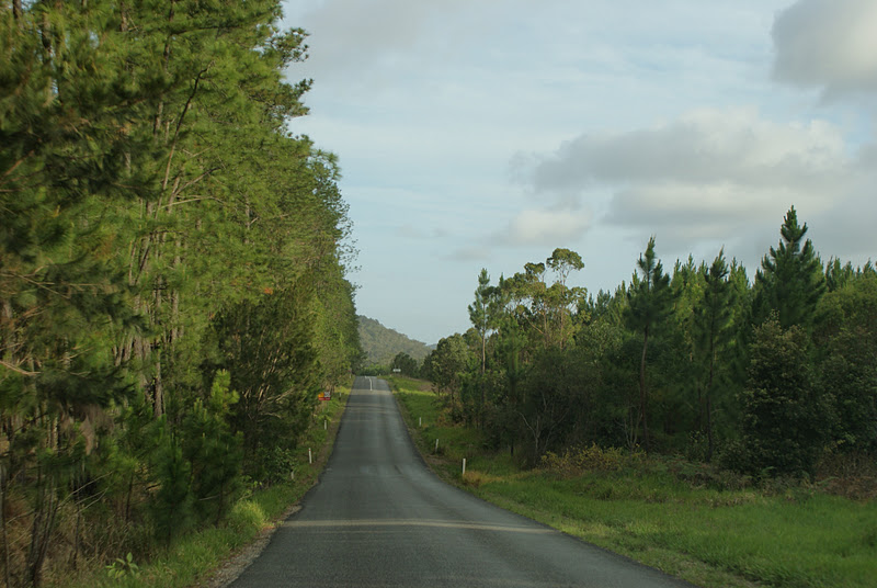 Nele & Andrew Around Oz: Red Rock Campsite, Byfield State Forest, QLDScnery