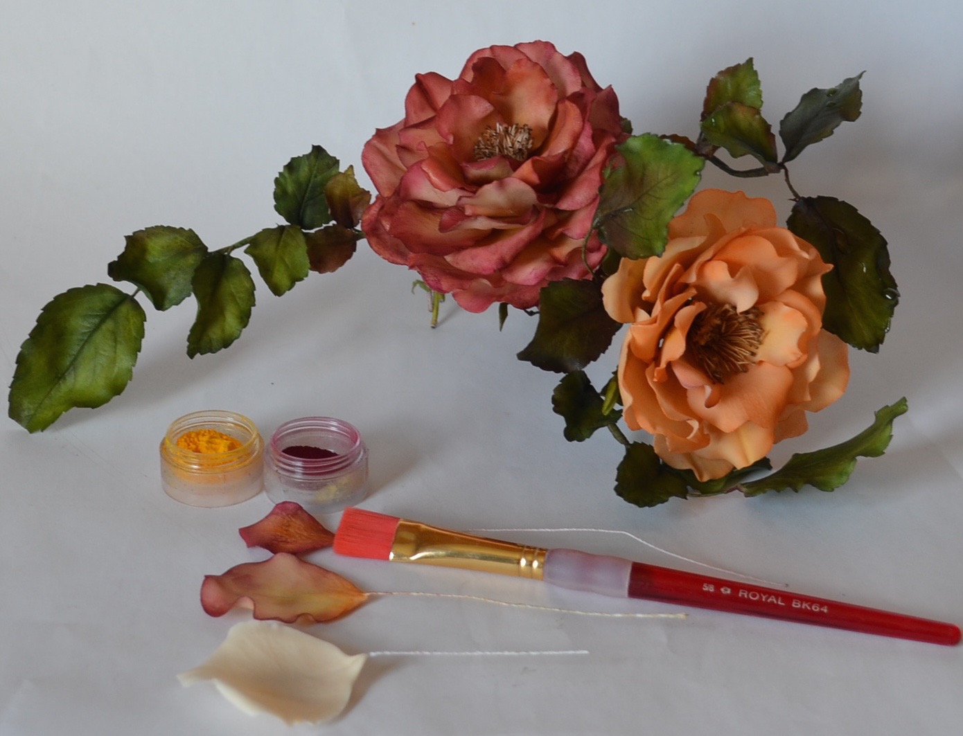 Luciene : November 2010