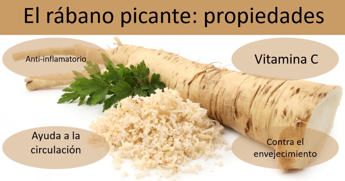 El rábano picante: propiedades beneficiosas, nutricional y ...