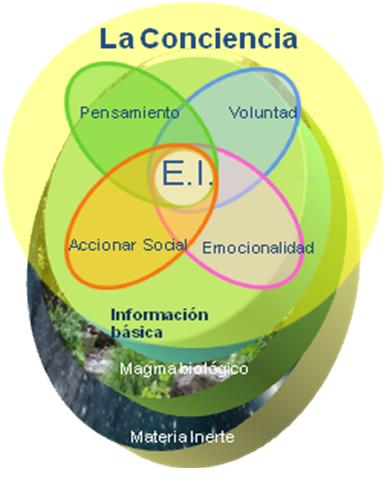 La Conciencia: La Conciencia