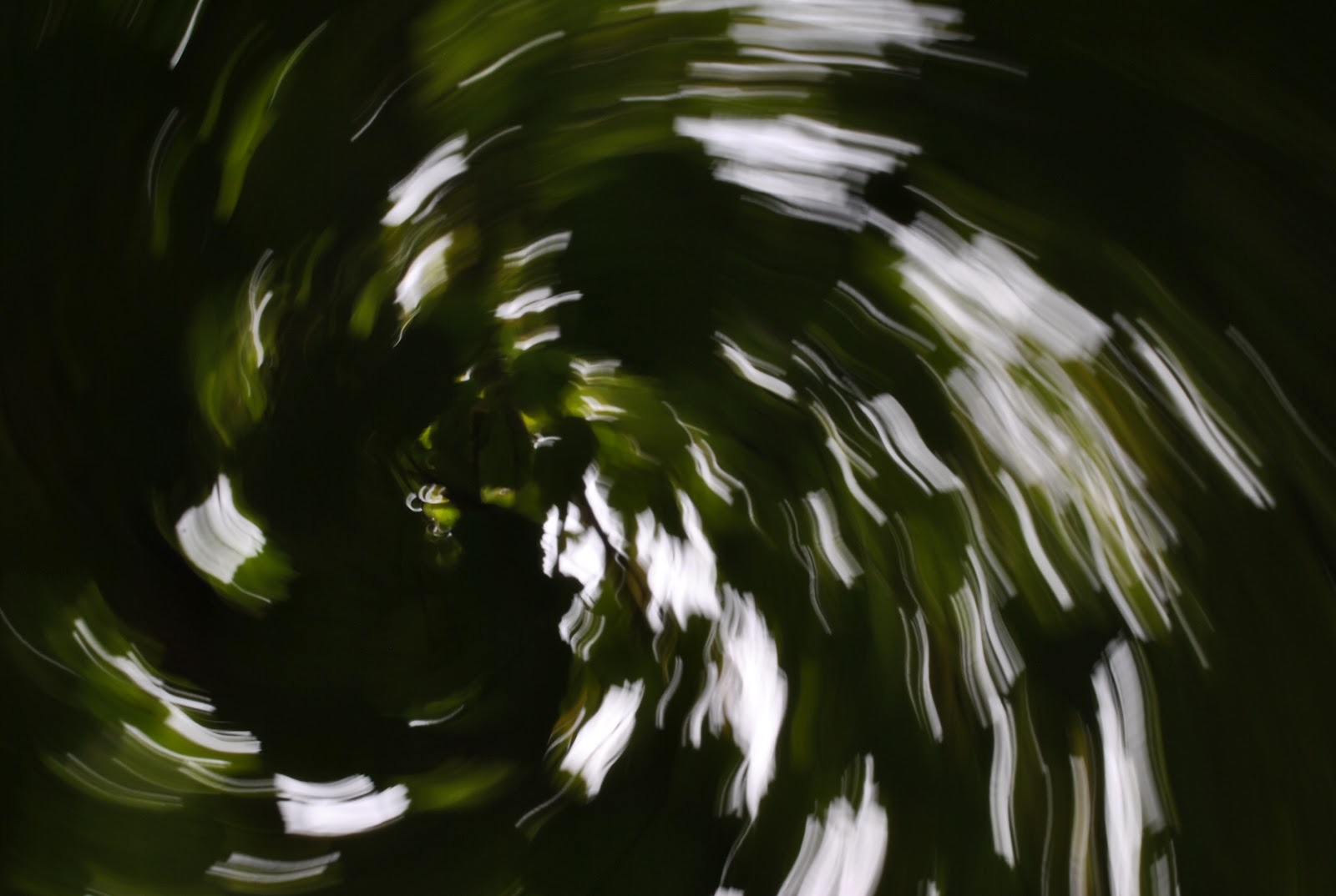 Jazzie Van Zijl: Abstract: Twisting Effect Practise Photos