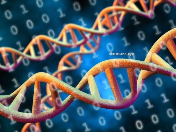 First DNA Product That Can Store Data| May Possible Released In 2019 ...