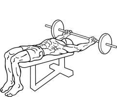 MUSCULACAO: EXERCICIOS VARIACOES COM BARRA.