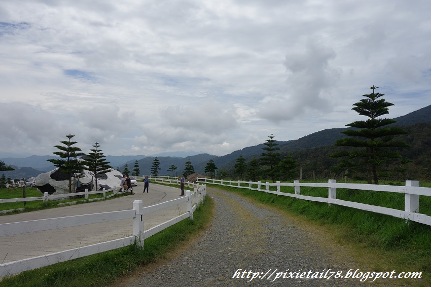 Desa Dairy Farm - Mesilau, Sabah