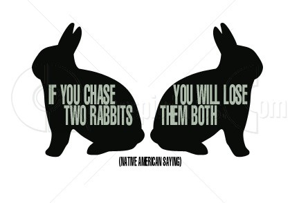 Finding Our Feet: You cannot chase two rabbits at the same time…