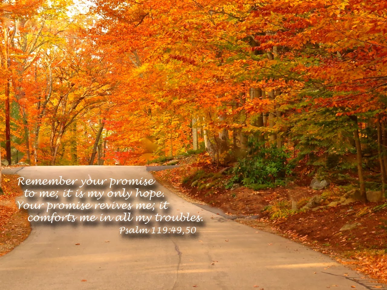 Eric Valentine's Praise Photography Blog: New Beginnings