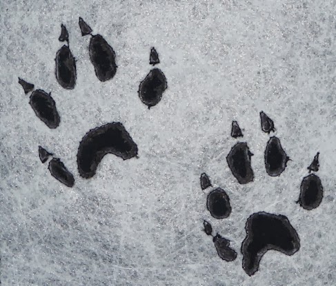 chocolatefrog: Sample Project 2013 - September