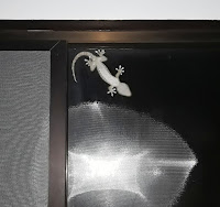 PHILIPPINE DESTINY: Butiki And Tuko Lizards Of The Philippines