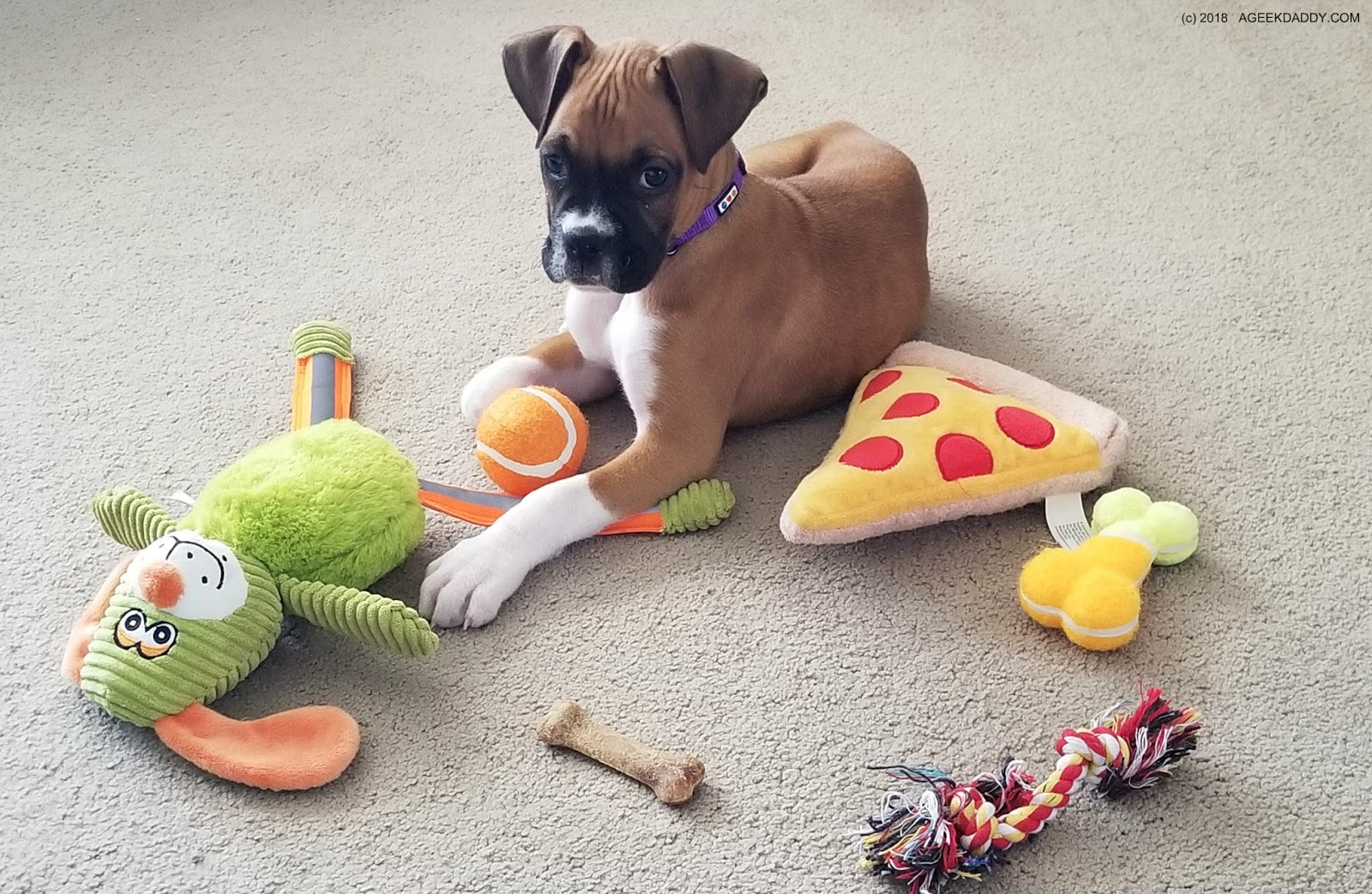 A GEEK DADDY: A GEEK DADDY 2018 RETROSPECTIVE