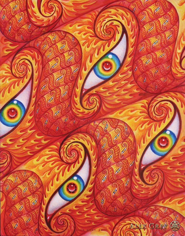 Cromofora La ( Paloma) Contemporary Online Art Gallery: ALEX GREY ...