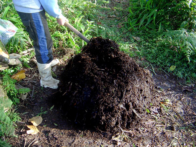 Manutenção e Cuidados com o Composto Orgânico