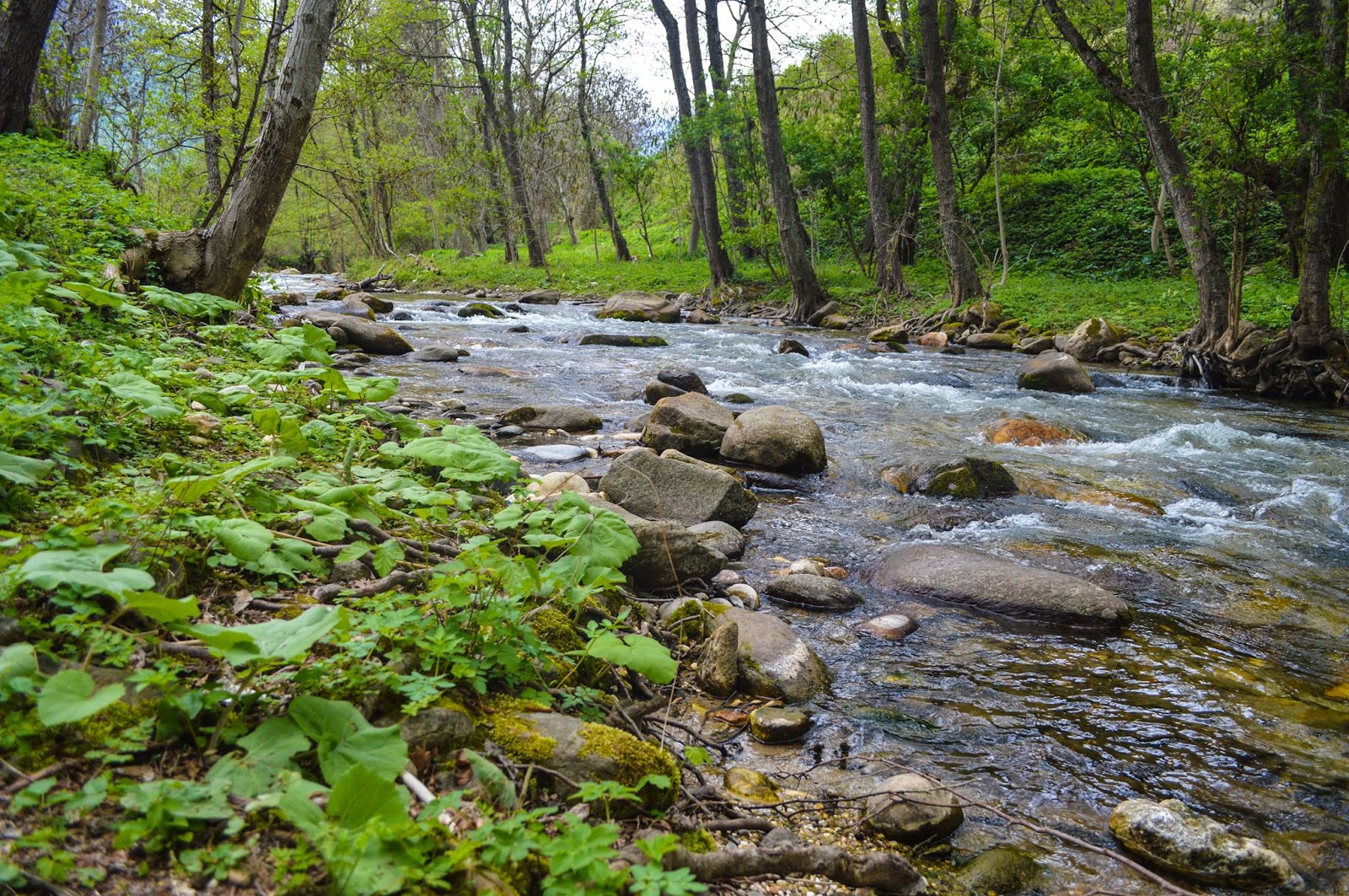 Das kleine wunderschöne Dorf Bogomila