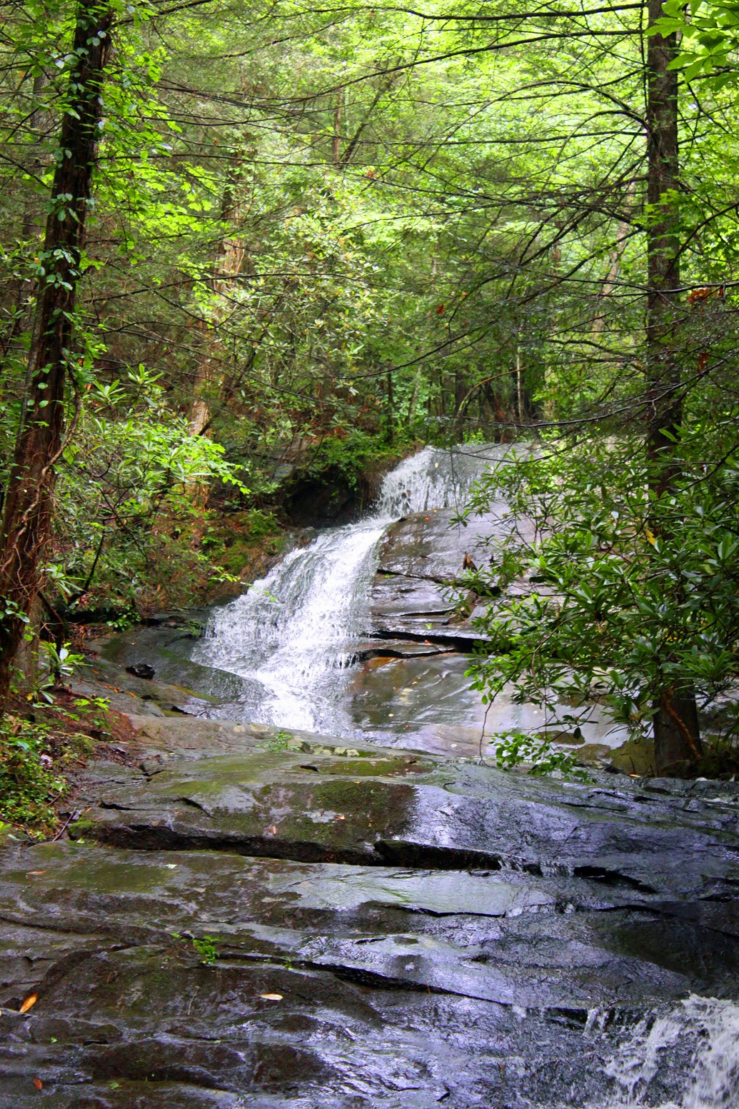 Southern Lagniappe: Fall Branch Falls, Blue Ridge, Georgia