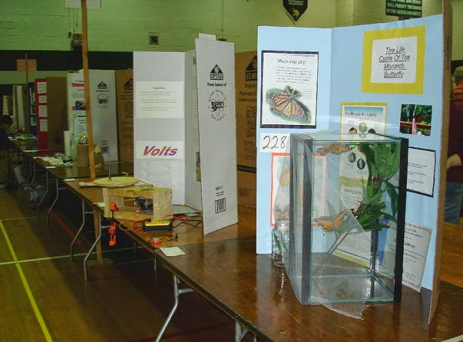 Sci/Why: Science fairs and competitions: Young scientists lead the way