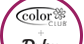 Color Society - Color Club Brights - Nailed It | The Nail Art Blog