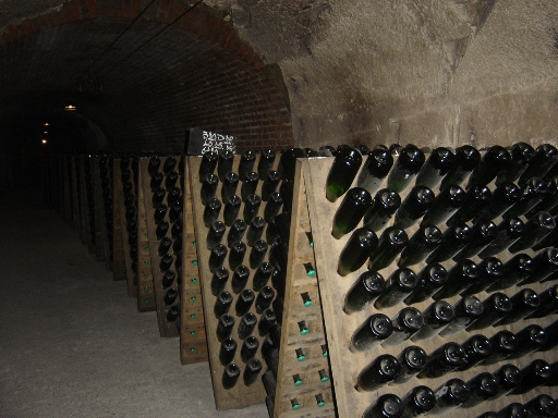 Wine Section: V I N I F I C A T I O N