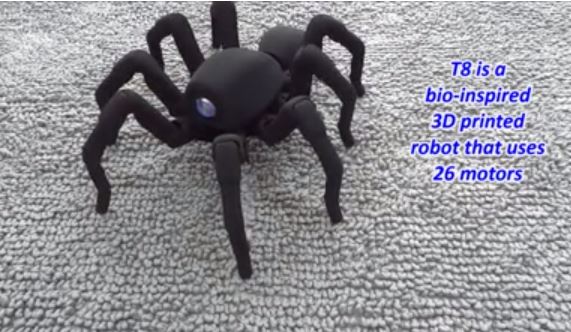 VERY HIGH LEVEL: ¡Cuidado: es una tarántula robot!