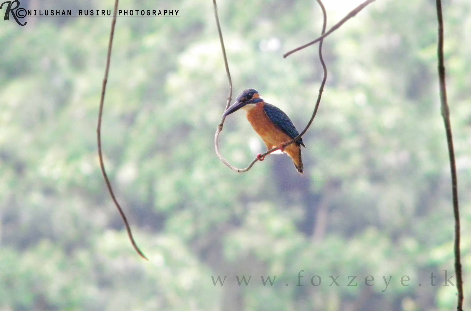 September 2012 ~ Digital Talking