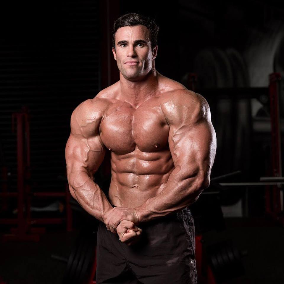 Muscle Building Keys: the ultimate tools for non-stop muscle gains ...