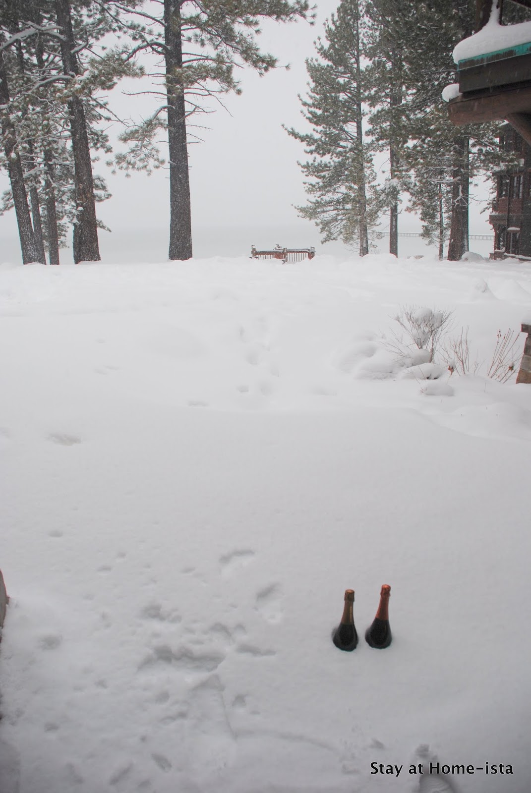 Stay at Home-ista: Snow Fun- Chilling Champagne in the Snow