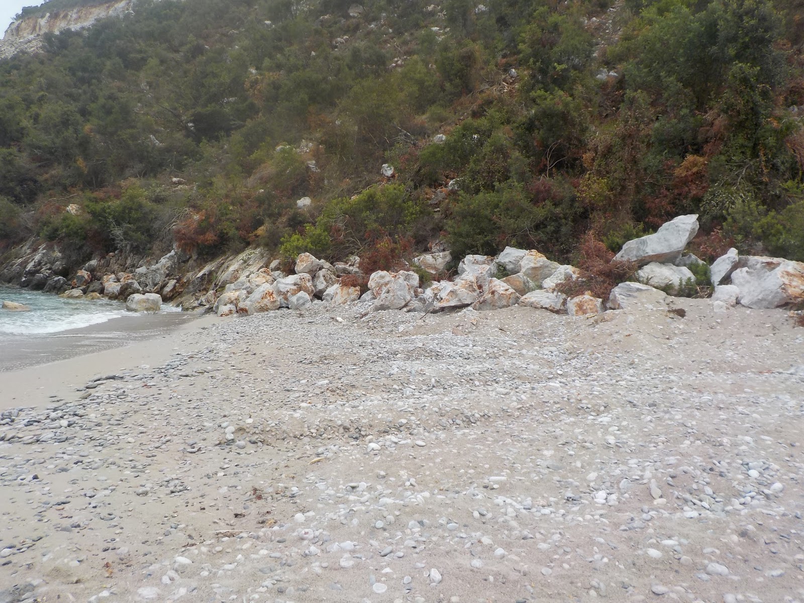 ORTHOLOGIKA: ΦΩΚΙΑΝΟΣ : ΡΗΜΑΞΑΝ ΤΟΠΙΟ ΚΑΙ ΦΥΣΗ.....ΣΚΟΤΩΣΑΝ ΝΕΟΓΝΑ ...